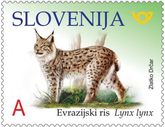Dežela znamk - Evrazijski ris